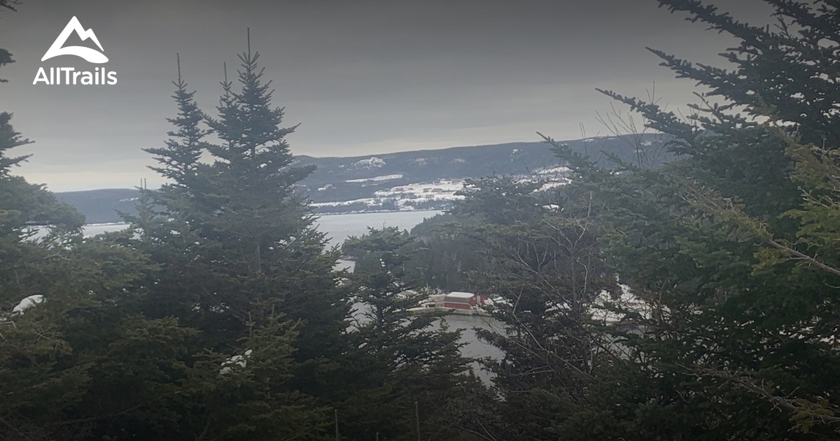 Best hikes and trails in Avondale | AllTrails