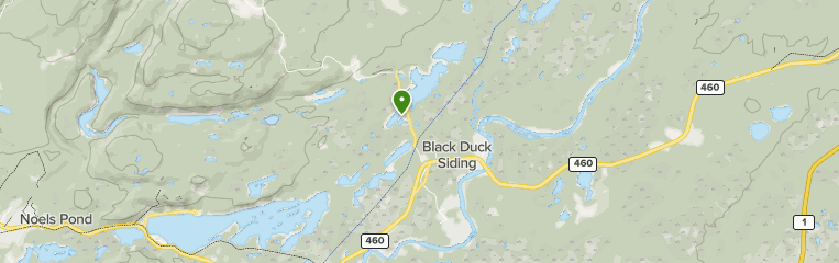 Best Hikes and Trails in Black Duck | AllTrails