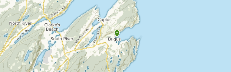 Best Trails near Brigus, Newfoundland and Labrador Canada | AllTrails