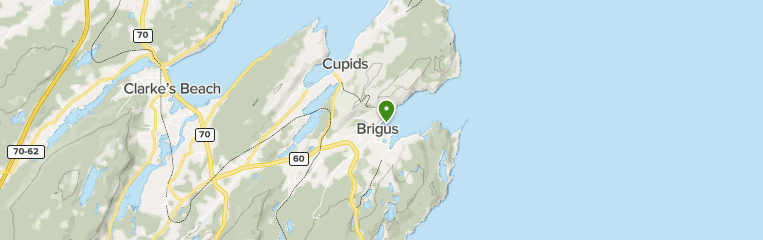 Best Hikes and Trails in Brigus | AllTrails