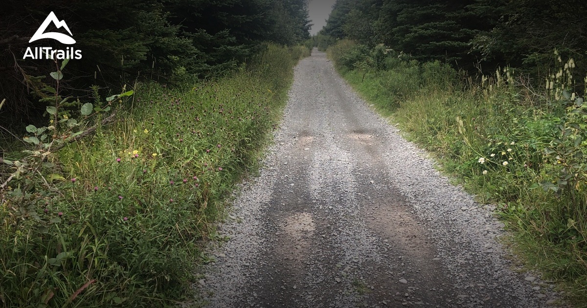 Best hikes and trails in Carbonear | AllTrails