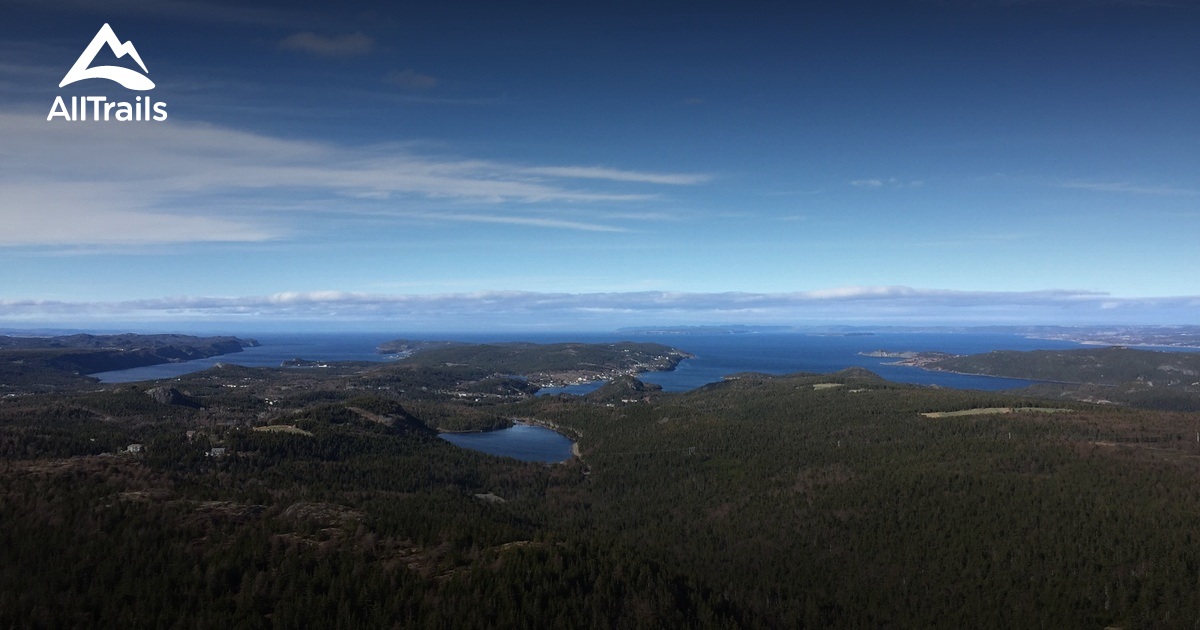 Best forest trails in Conception Harbour | AllTrails