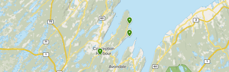 Best Hikes and Trails in Conception Harbour | AllTrails
