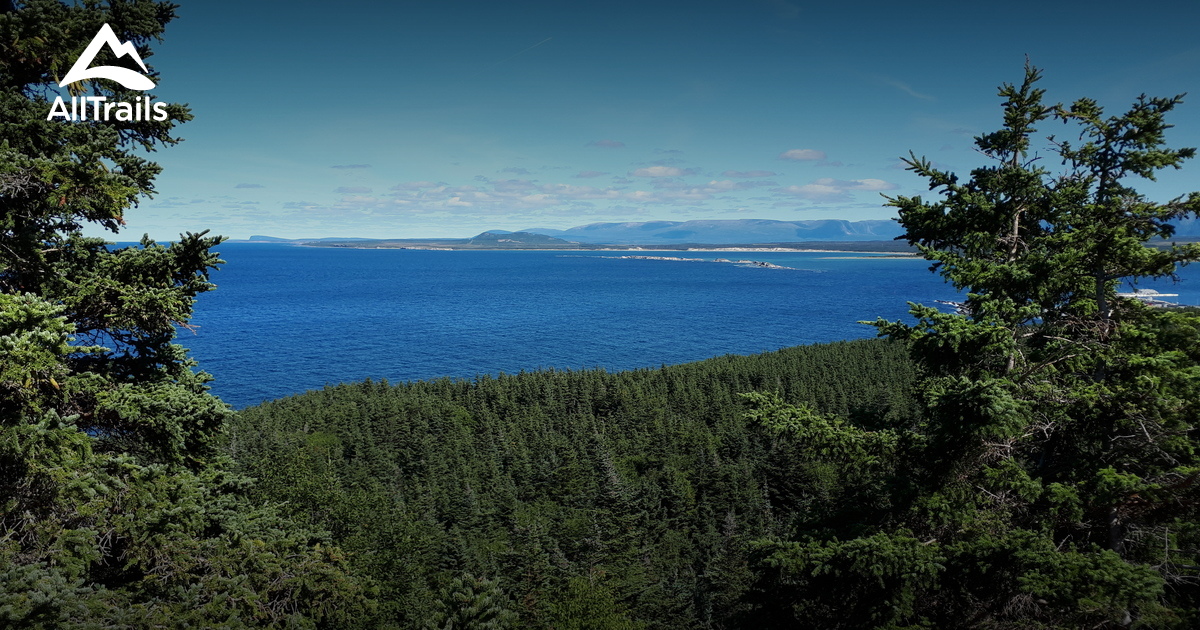 Best easy trails in Cow Head | AllTrails