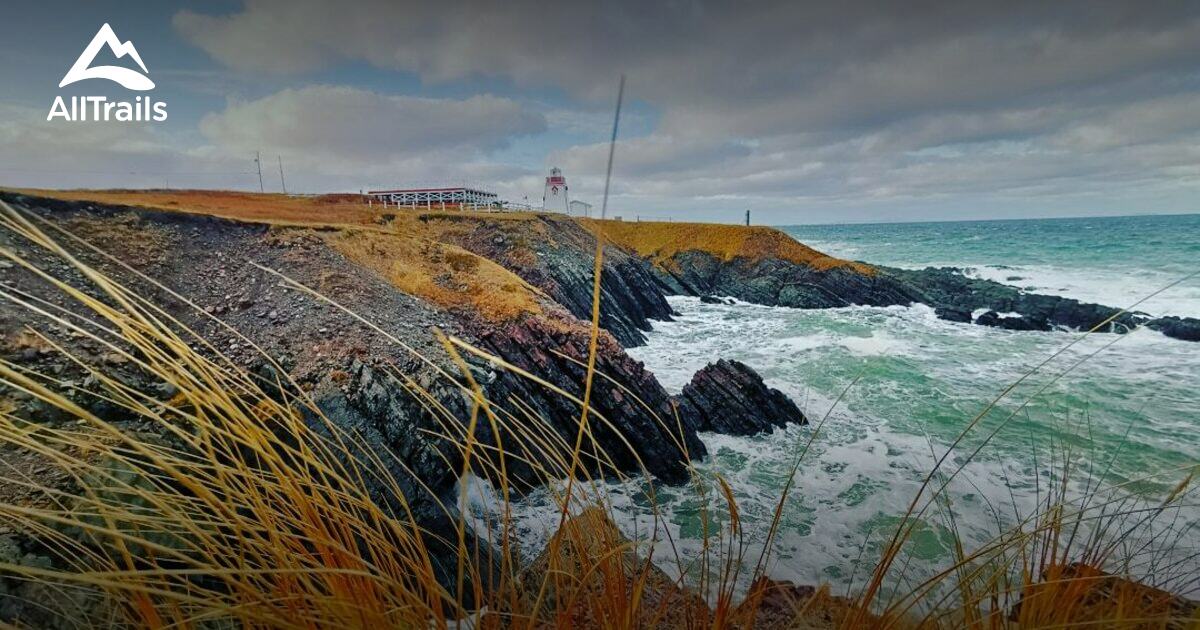 Best forest trails in Fortune | AllTrails