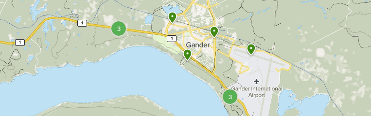 10 Best Trails and Hikes in Gander | AllTrails