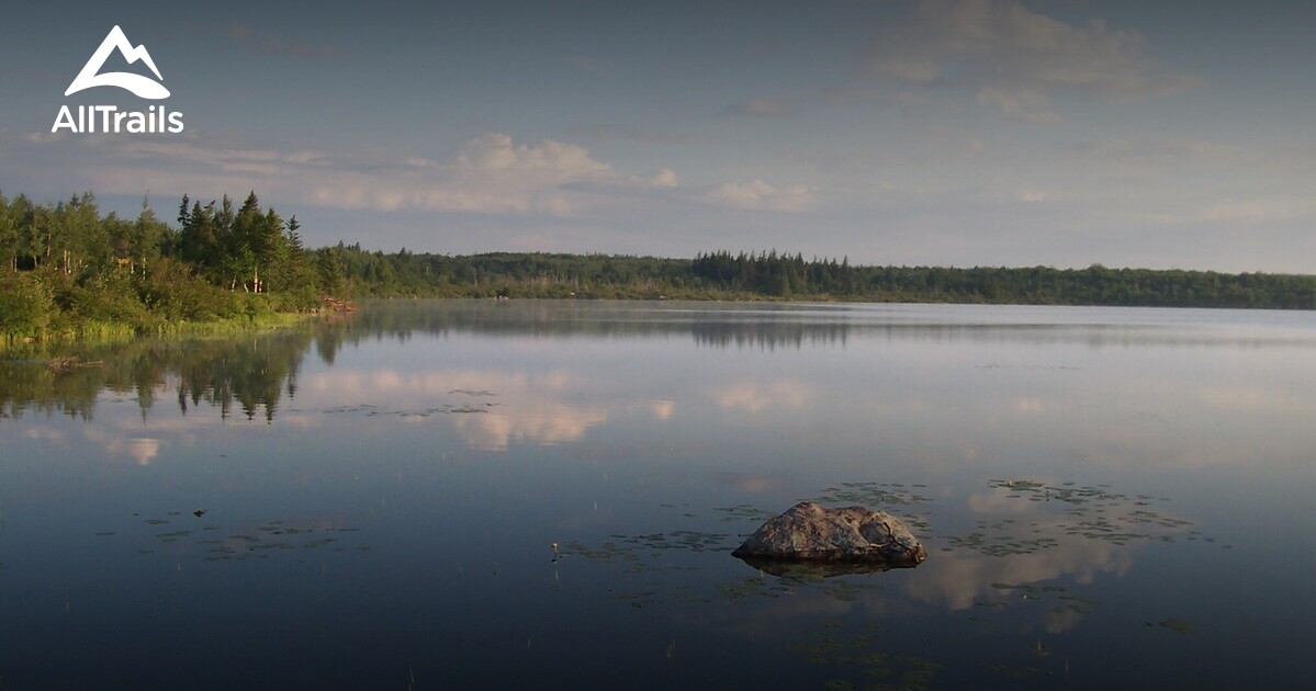 Best forest trails in Grand Falls-Windsor | AllTrails