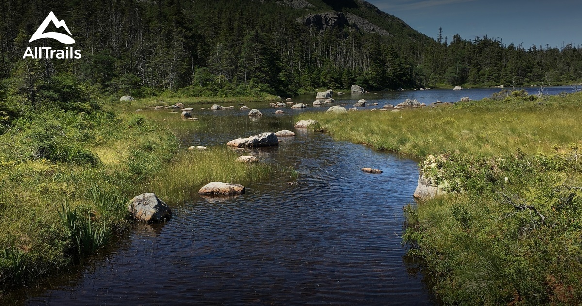 Best Trails near Holyrood, Newfoundland and Labrador Canada | AllTrails