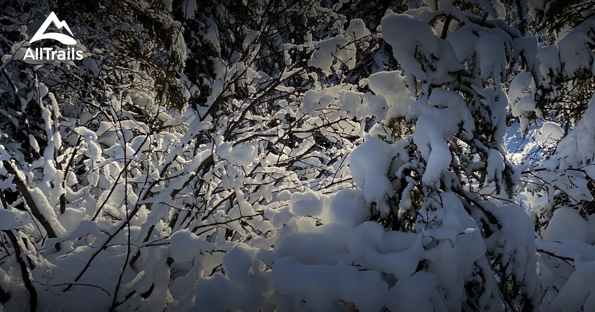 Best hikes and trails in Labrador City | AllTrails