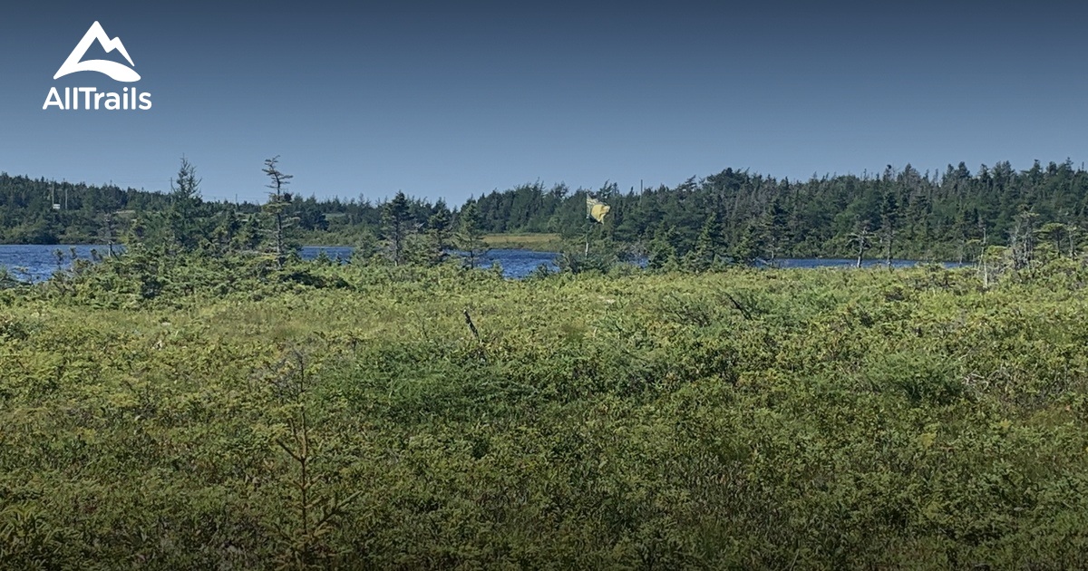 Best hikes and trails in Marystown | AllTrails