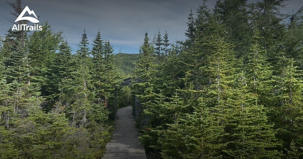 Best hikes and trails in Red Bay | AllTrails