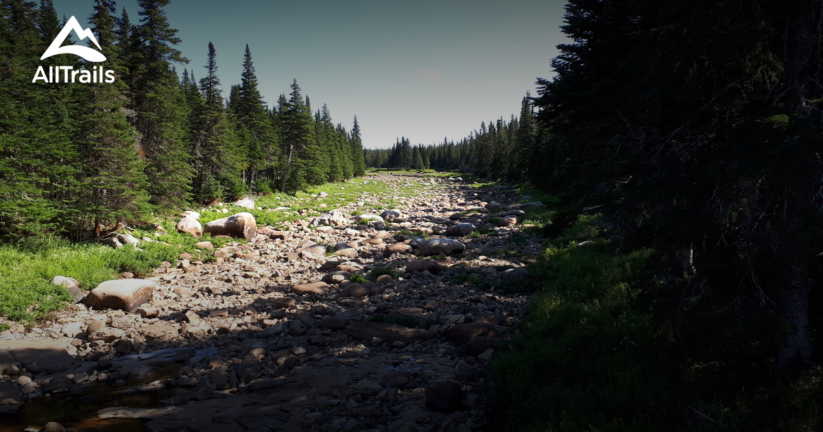 Best hikes and trails in Roddickton-Bide Arm | AllTrails