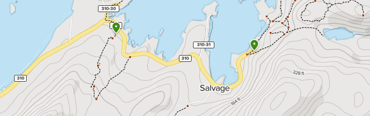 Best Hikes and Trails in Salvage | AllTrails