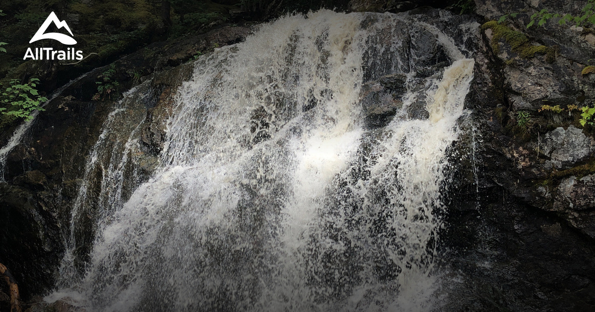 Best hikes and trails in Terrenceville | AllTrails