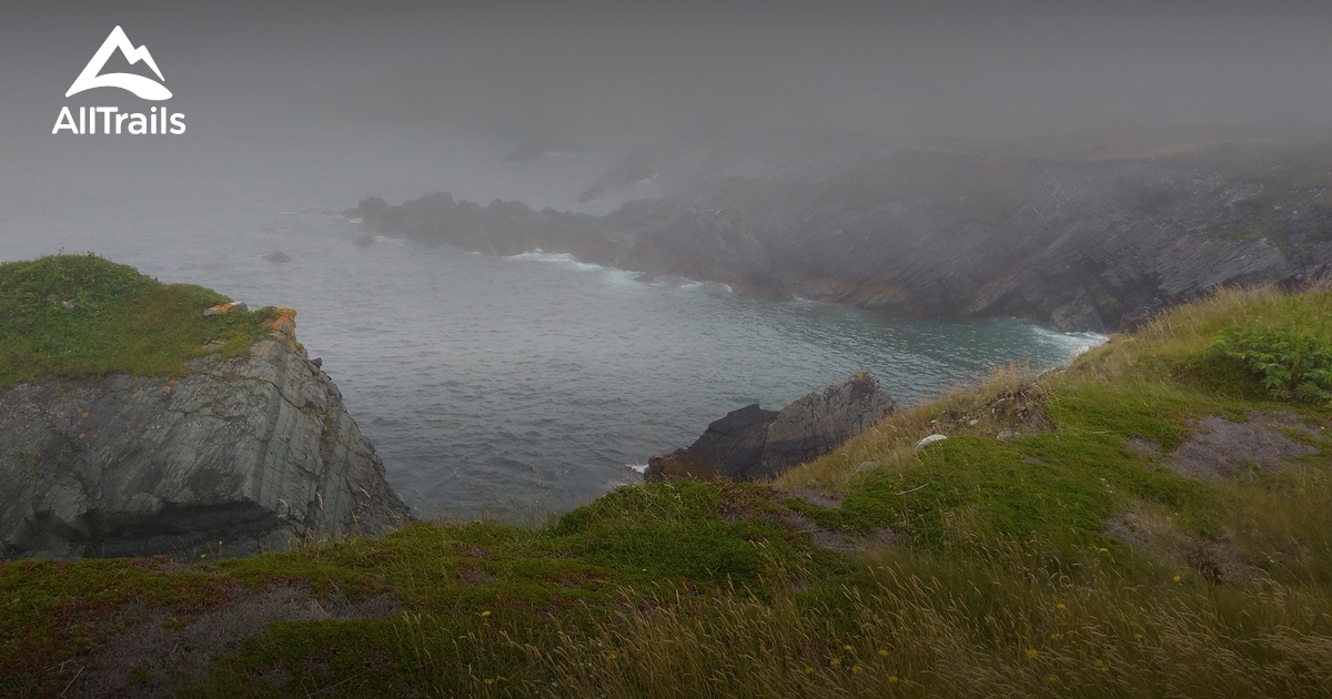 Best hikes and trails in Trepassey | AllTrails
