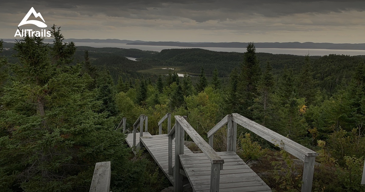 Best forest trails in Triton | AllTrails