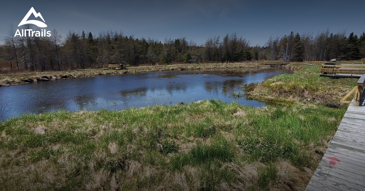 Best hikes and trails in Victoria | AllTrails