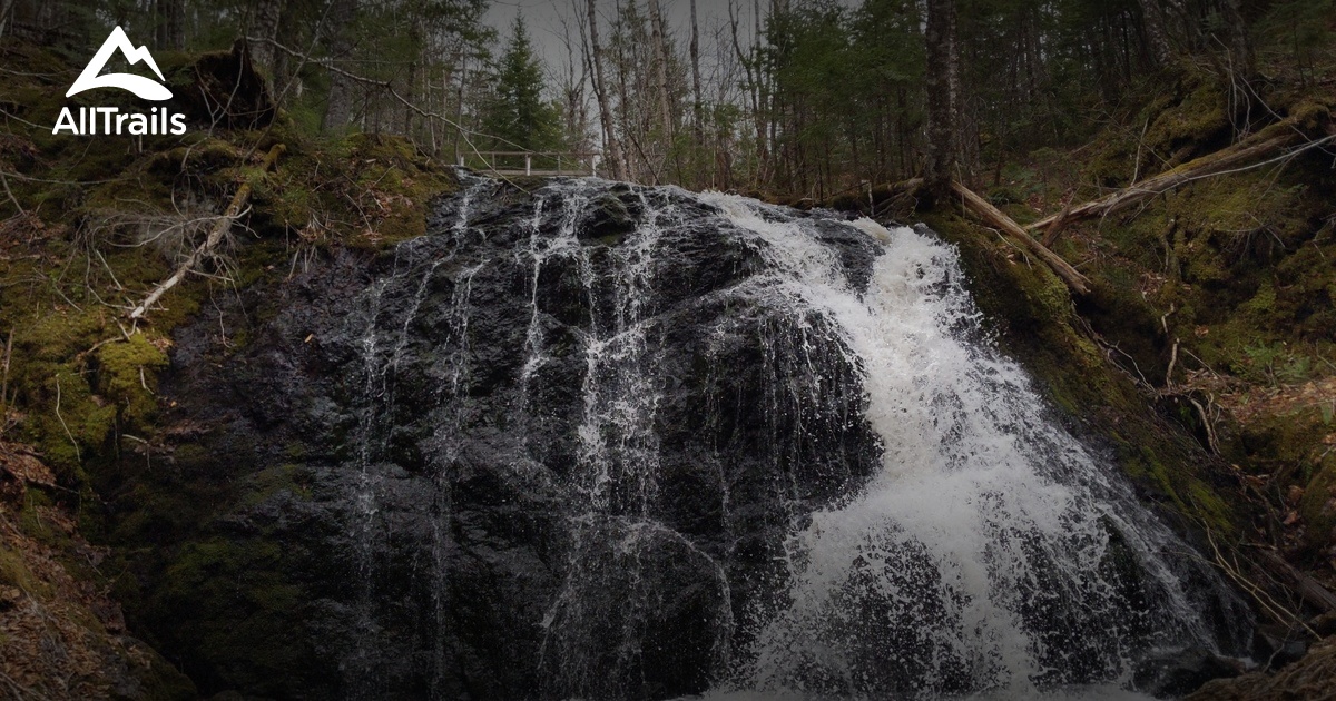 Best hikes and trails in Albert Bridge | AllTrails
