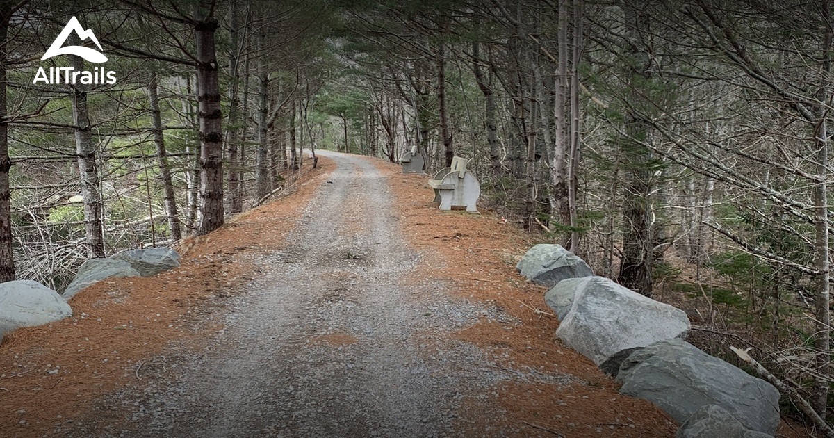 Best hikes and trails in Allendale | AllTrails