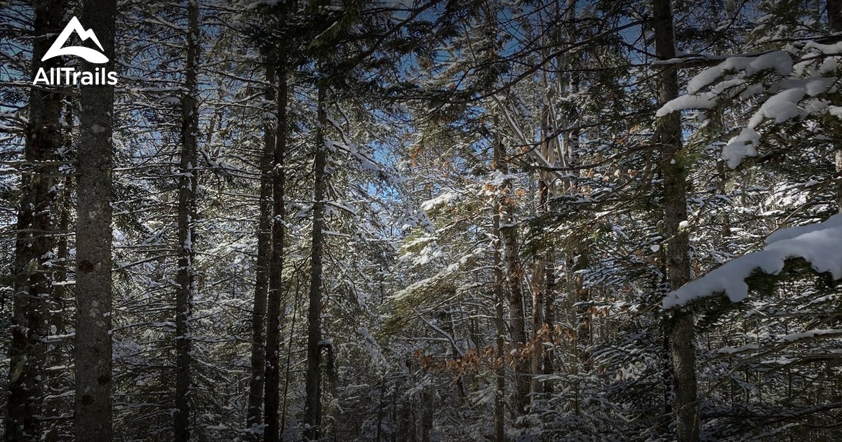 Best hikes and trails in Avondale | AllTrails