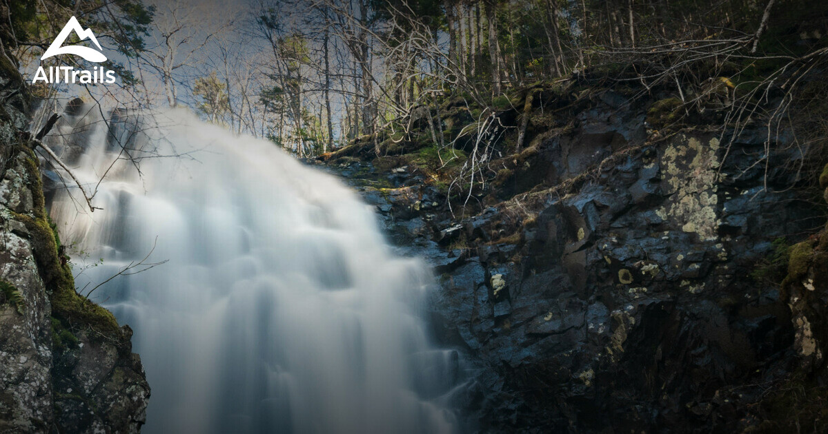 Best forest trails in Baxters Harbour | AllTrails