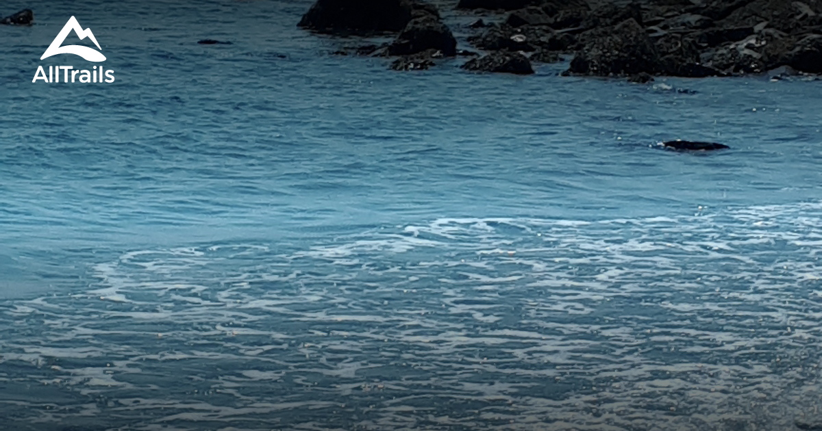 Best hikes and trails in Bayswater | AllTrails