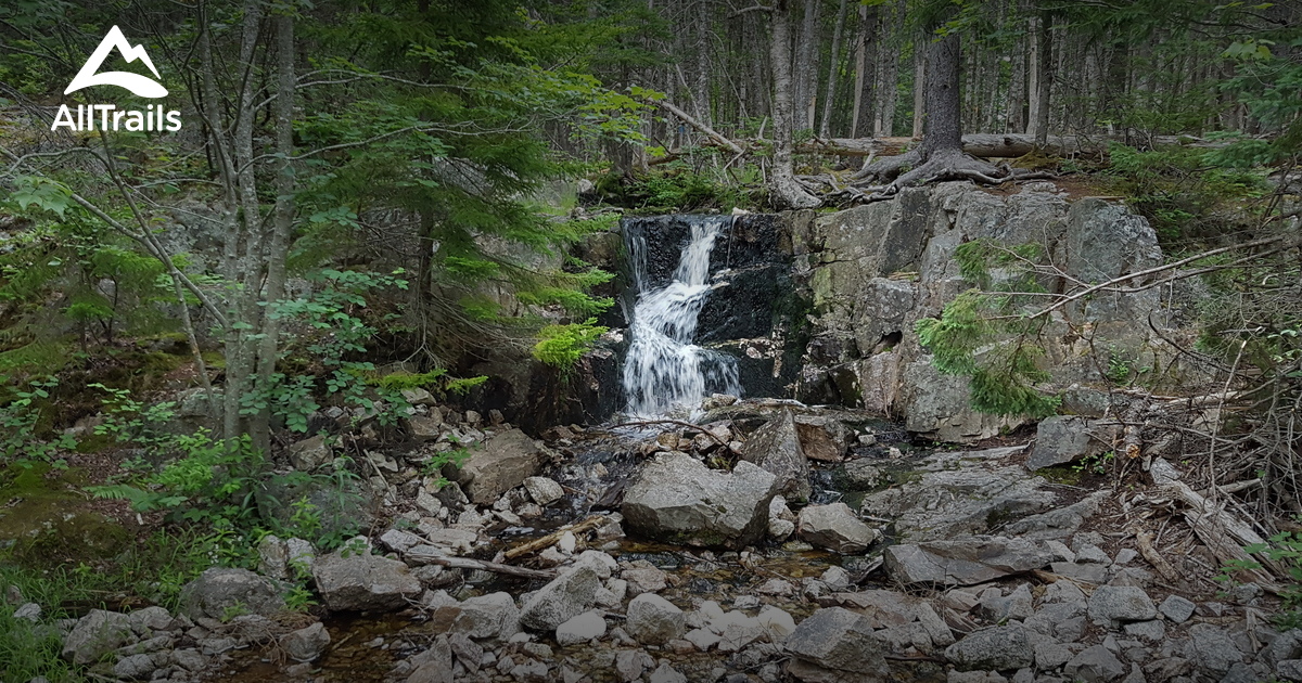 Best lake trails in Beechville | AllTrails