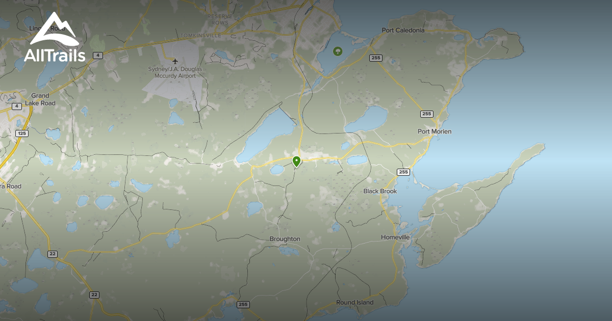 Best hikes and trails in Birch Grove | AllTrails