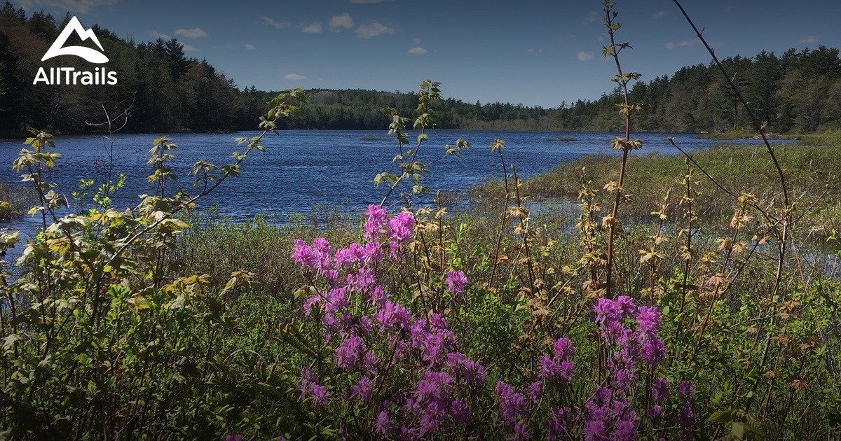 Best Trails near Bridgewater, Nova Scotia Canada | AllTrails