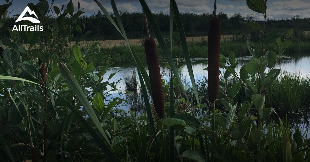 2023 Best Trails, Walks, and Paths in Brookfield | AllTrails