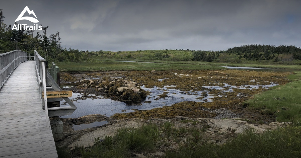 Best views trails in Canso | AllTrails