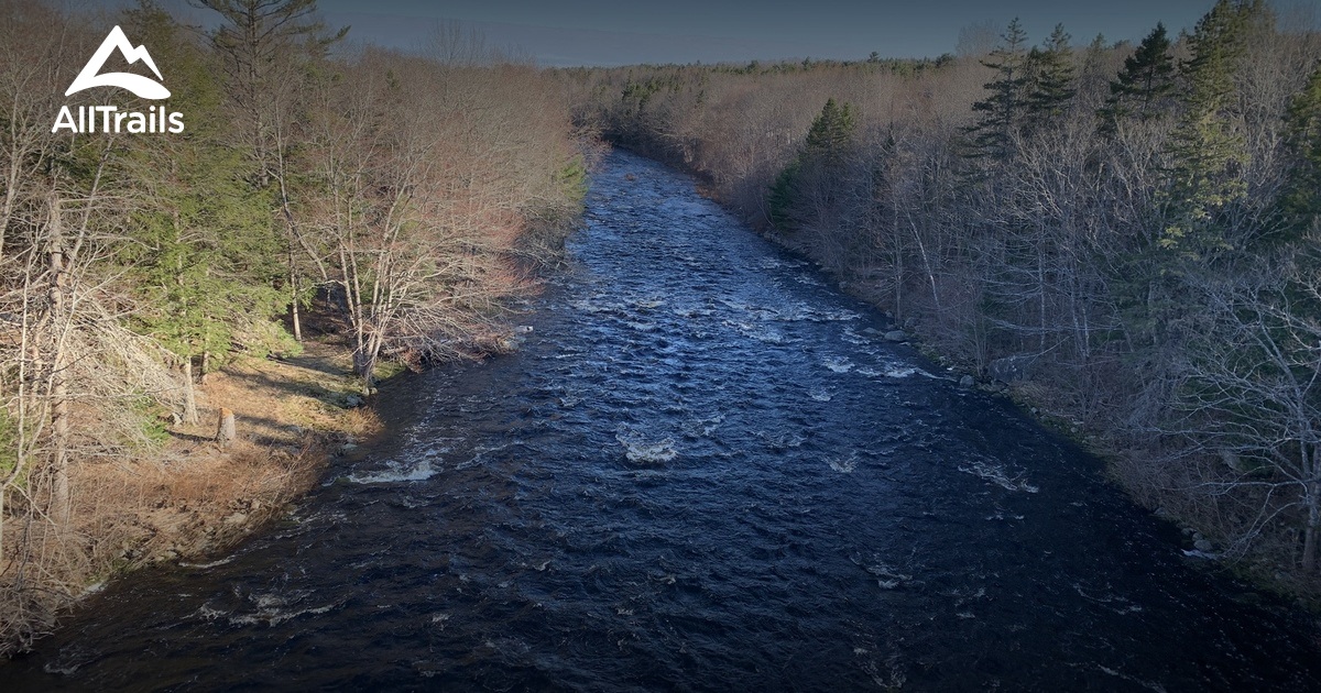 Best hikes and trails in Chester | AllTrails