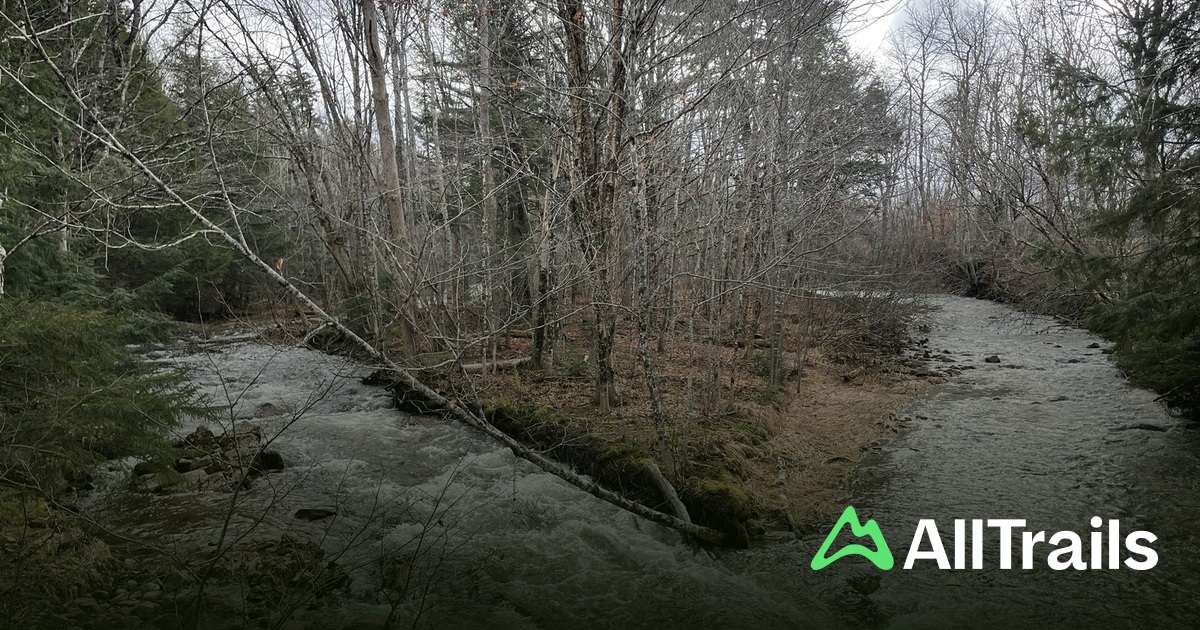 Best hikes and trails in Collingwood | AllTrails