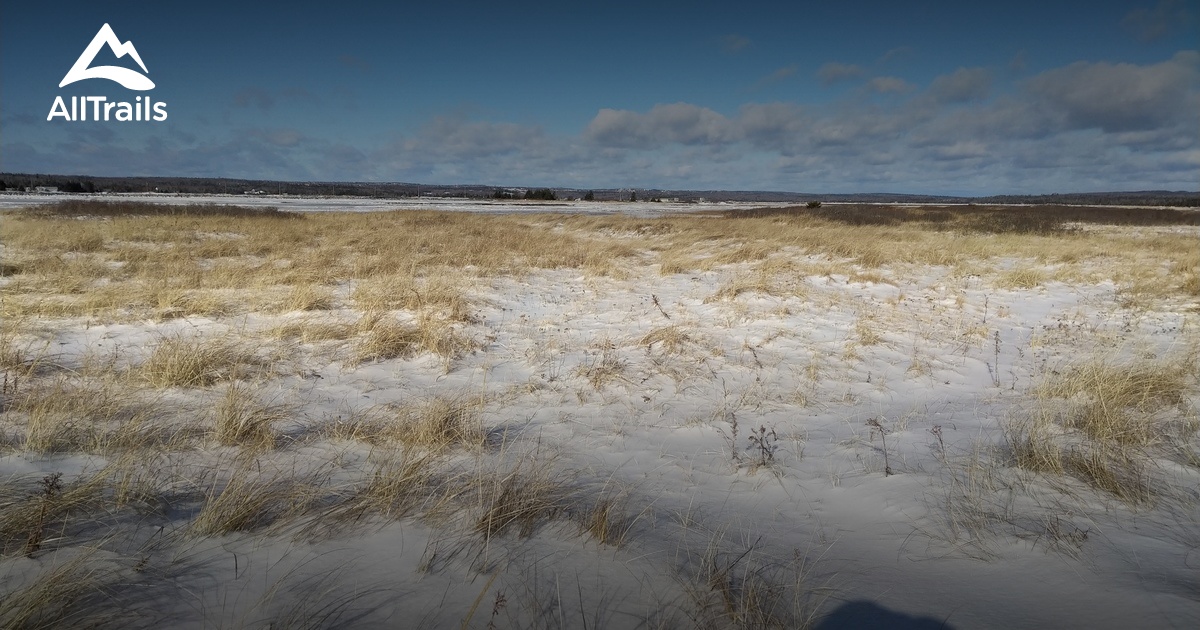 Best hikes and trails in Cow Bay | AllTrails