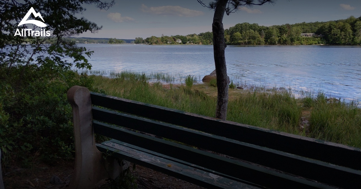 Best wildflower trails in Dayspring | AllTrails