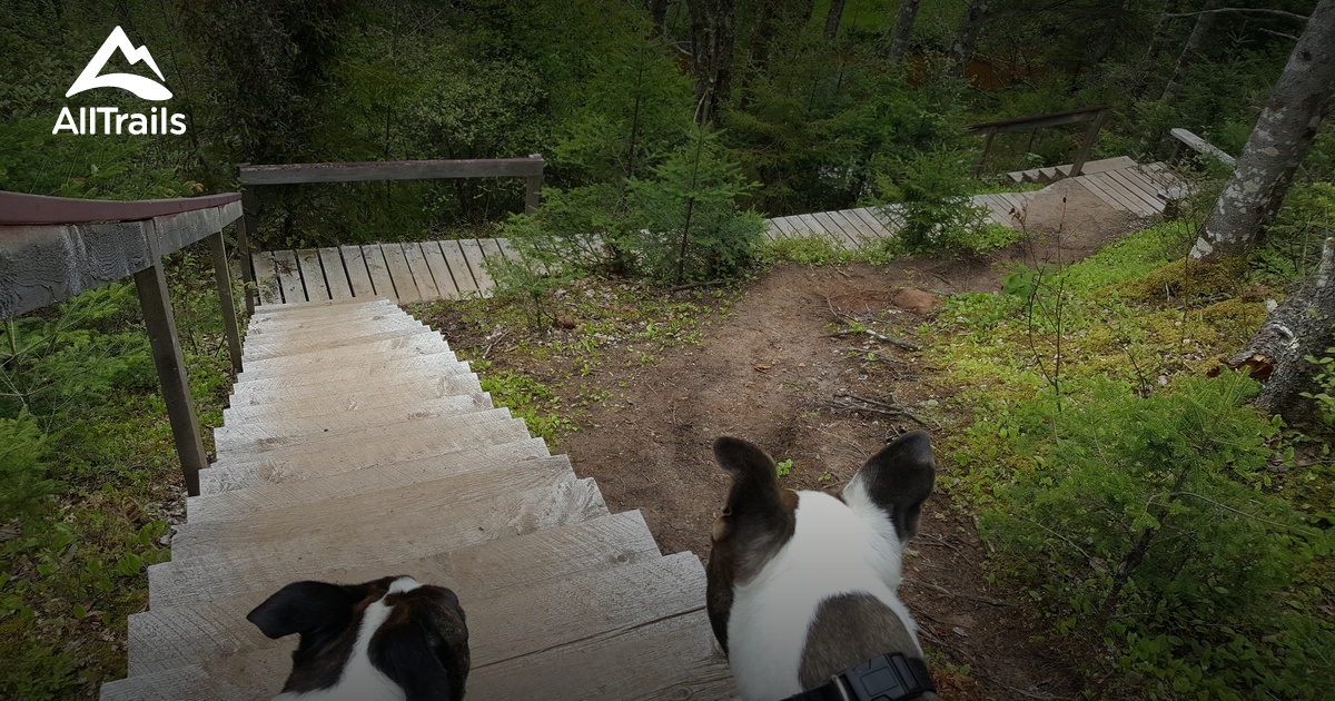 Best trails in Debert, Nova Scotia | AllTrails