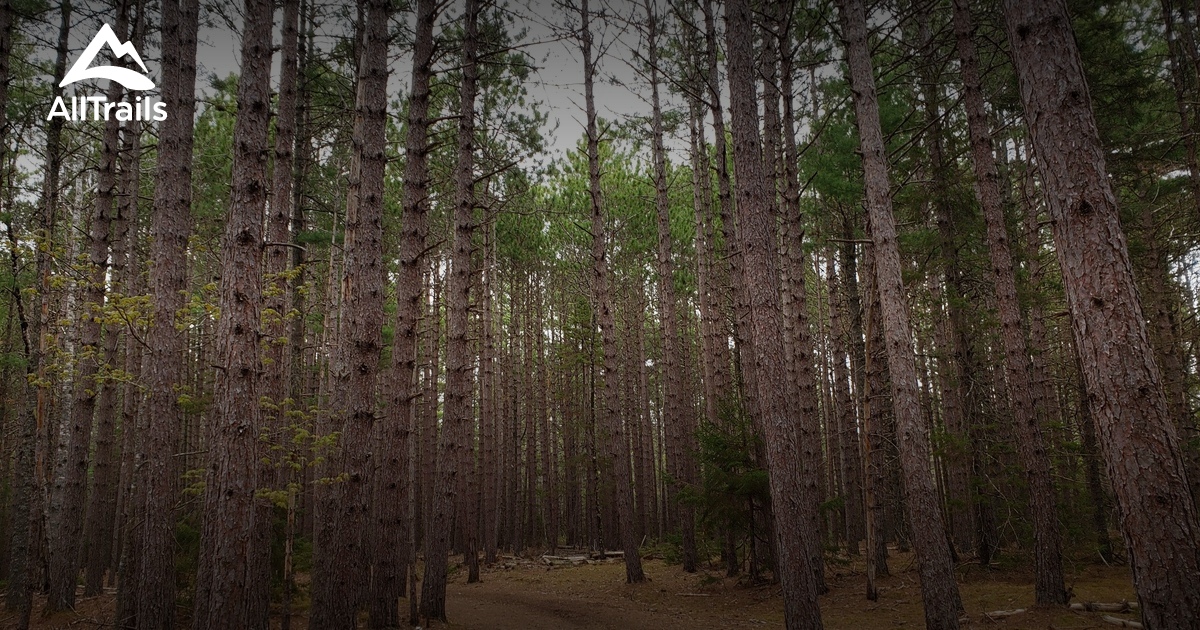 Best hikes and trails in Debert | AllTrails