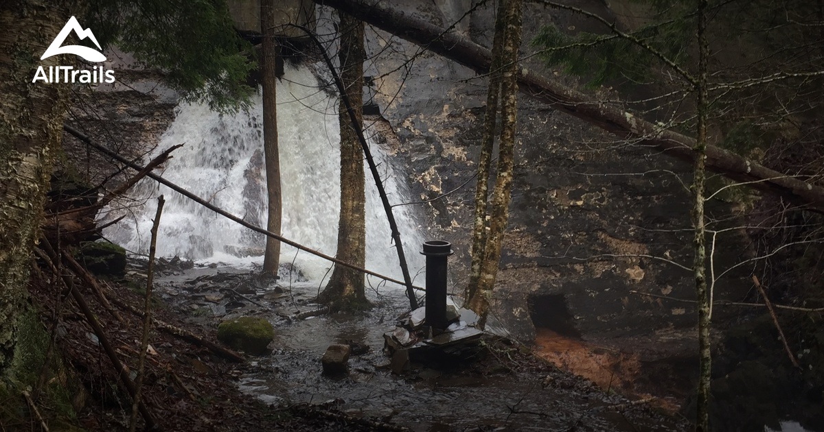 Best moderate trails in Forest Hill | AllTrails