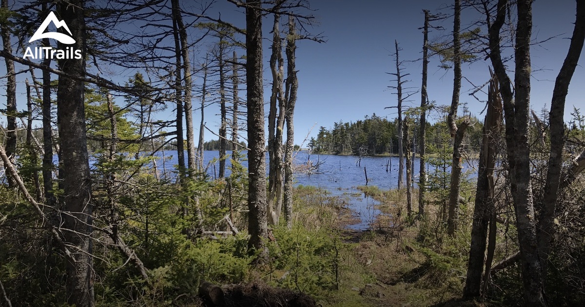 2023 Best Paddle Sports Trails in Gabarus | AllTrails