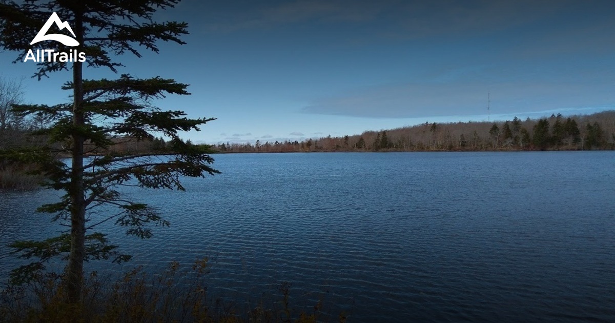 Best hikes and trails in Hampton | AllTrails