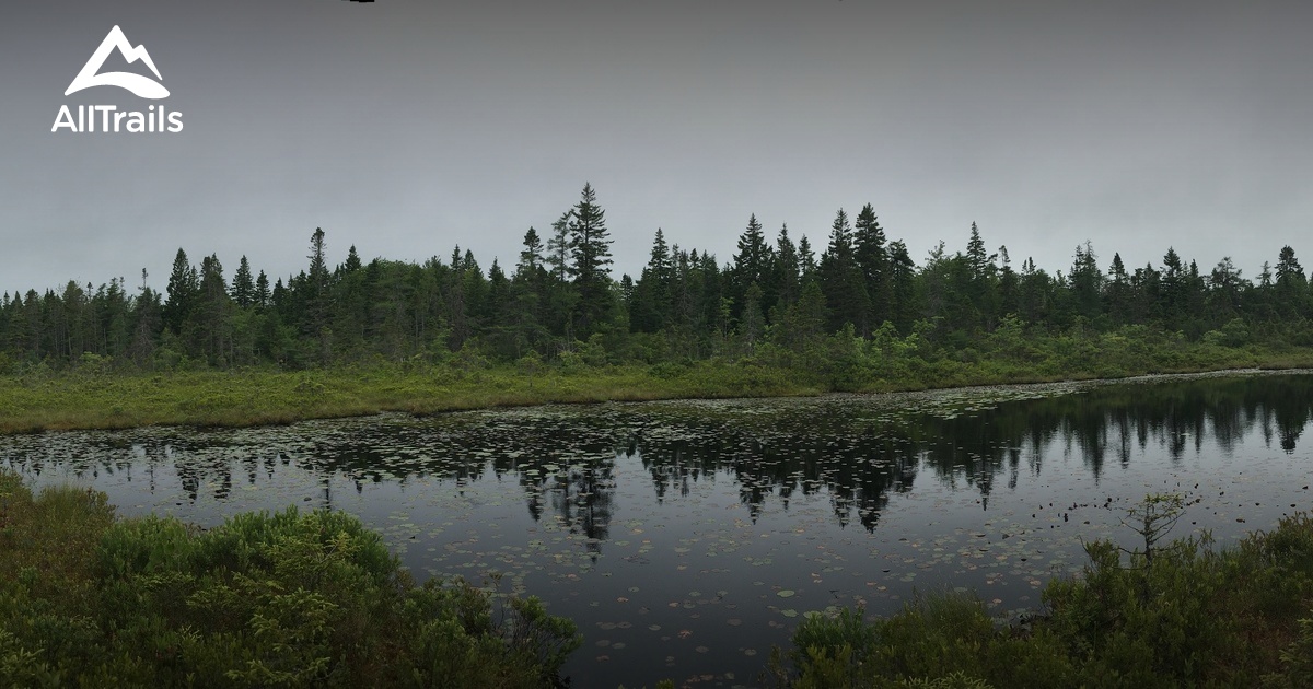 Best forest trails in Indian Path | AllTrails