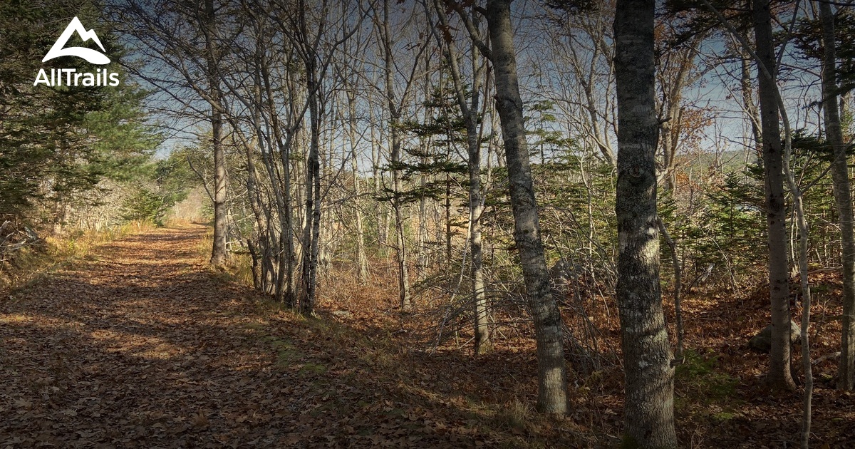 Best hikes and trails in Jordan Ferry | AllTrails