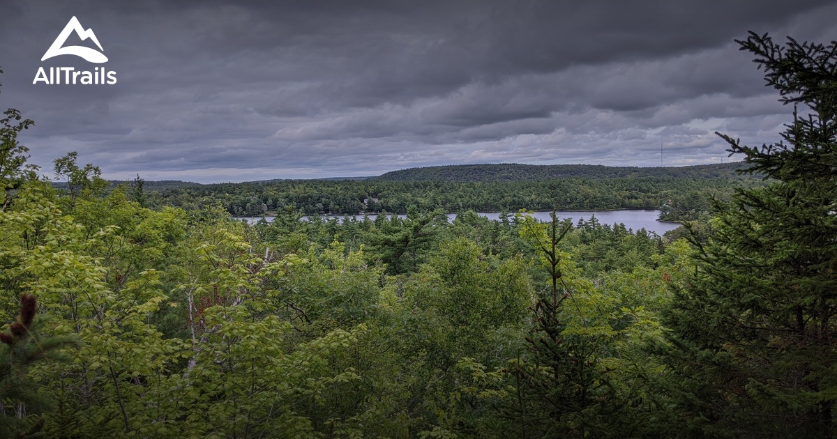 Best hikes and trails in Lakeview | AllTrails