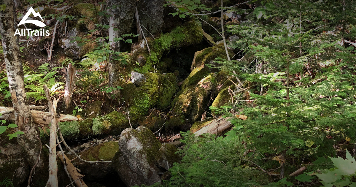 Best hikes and trails in Little Narrows | AllTrails