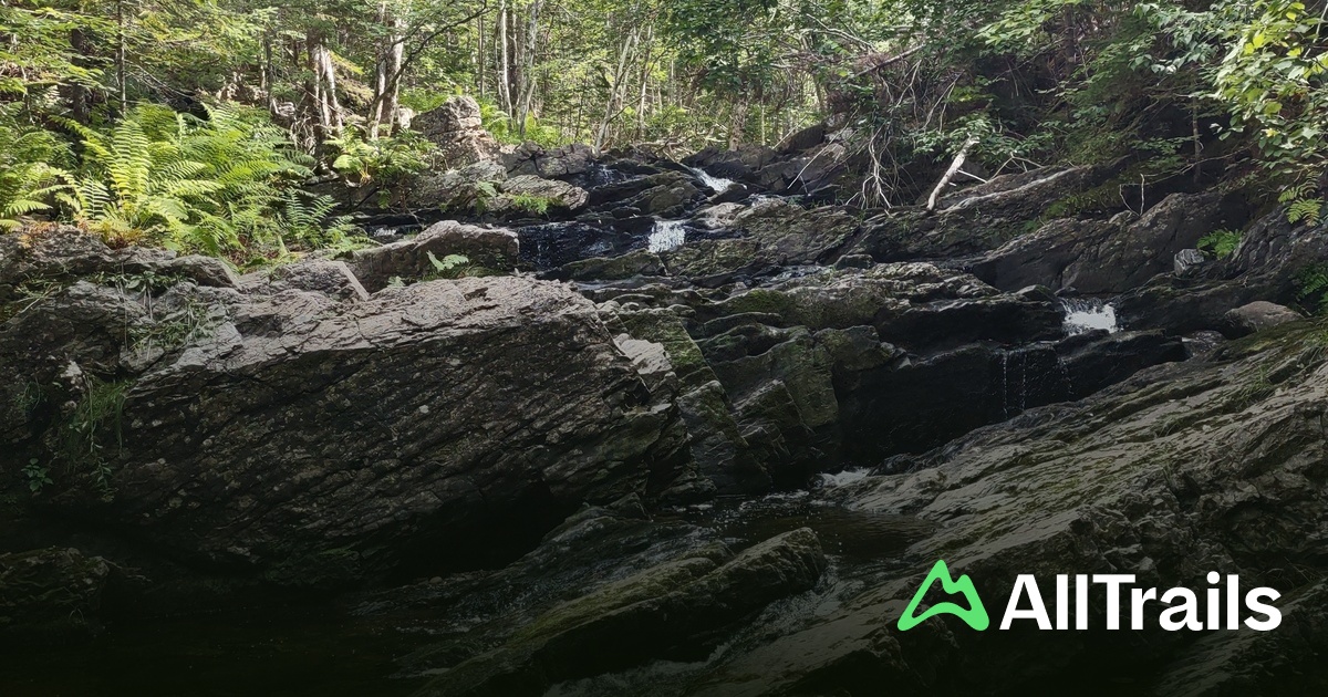 Merland : les meilleures randonnées et itinéraires | AllTrails