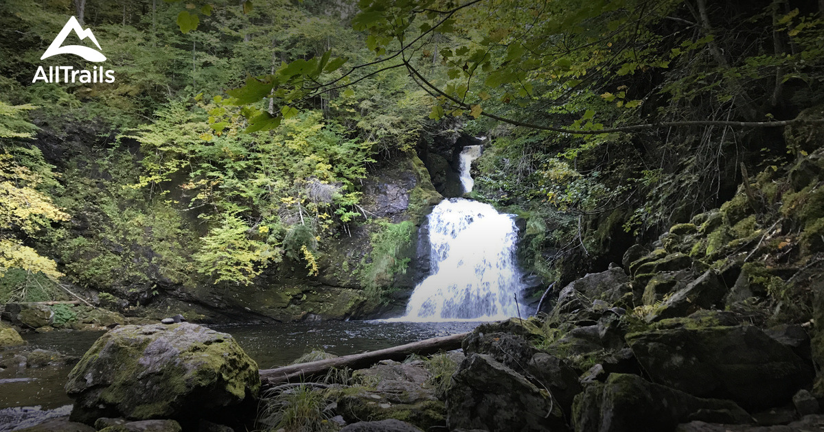 Best hikes and trails in Middle River | AllTrails