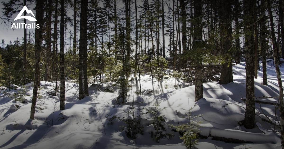 Best short trails in Mount Uniacke | AllTrails