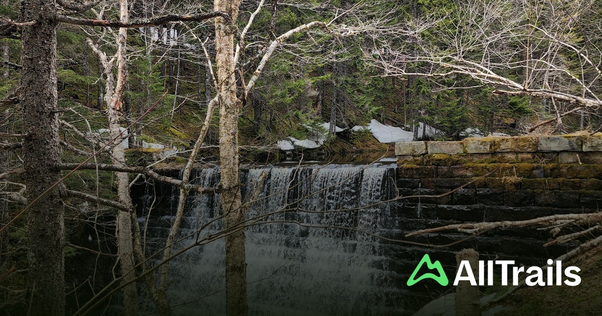 Best river trails in New Prospect | AllTrails