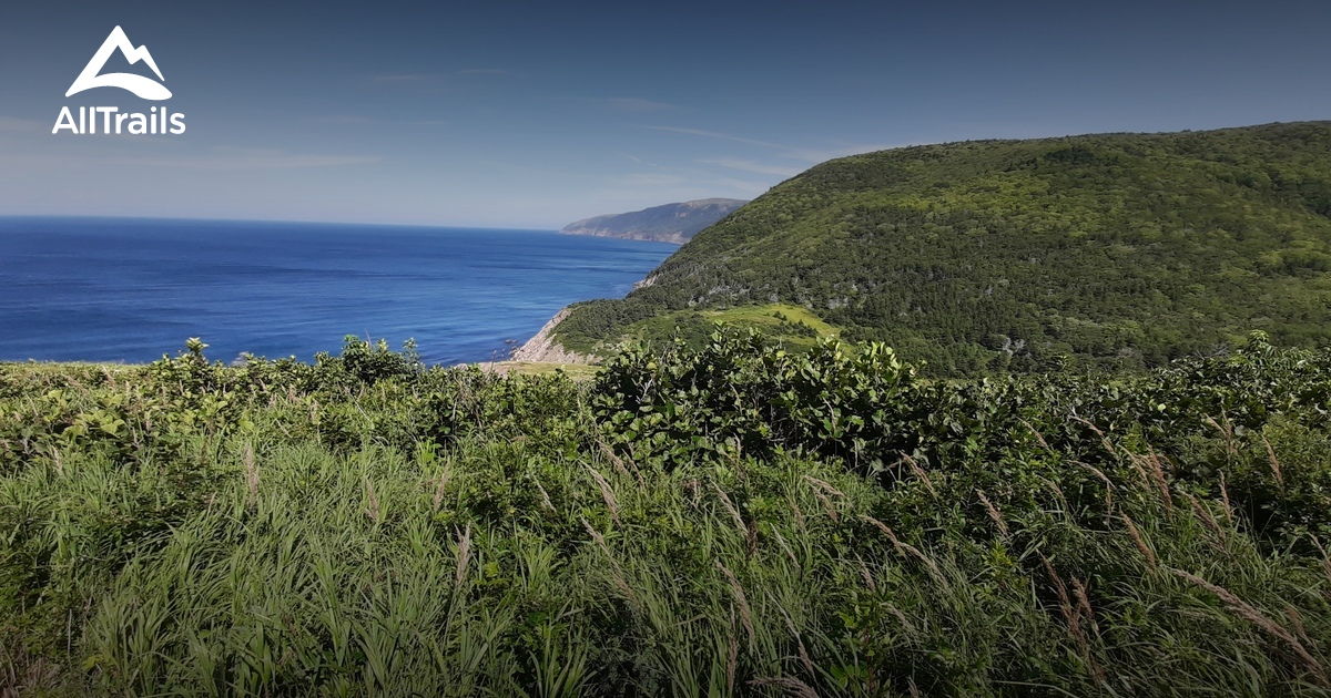 10 Best trails and hikes in Red River | AllTrails