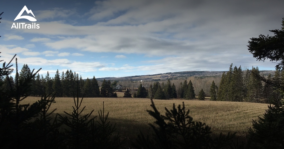 Best hikes and trails in Rogers Hill | AllTrails